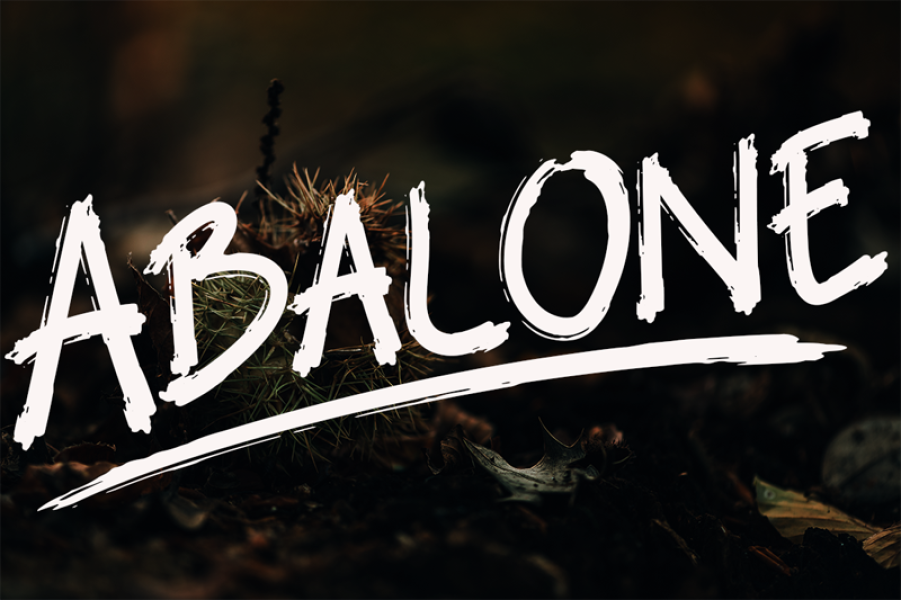 Abalone Font · 1001 Fonts