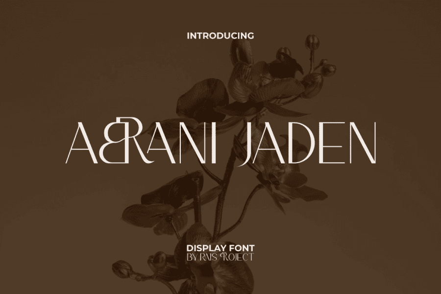 Abrani Jaden Demo Font · 1001 Fonts