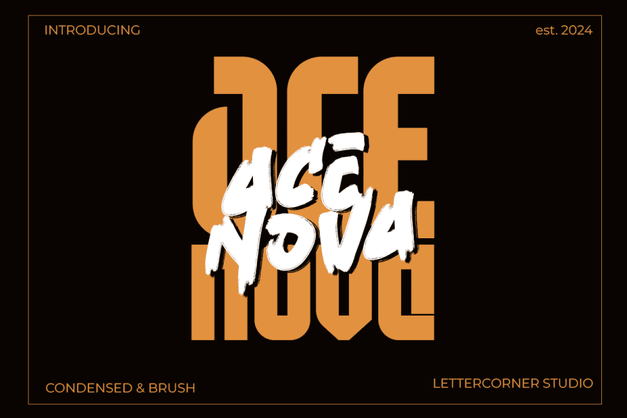 Ace Nova Font Family · 1001 Fonts