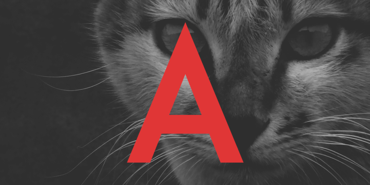 ADAM.CG PRO Font · 1001 Fonts