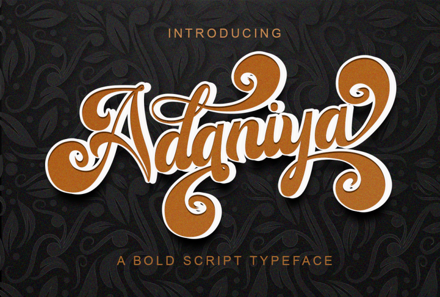 Adaniya Font · 1001 Fonts
