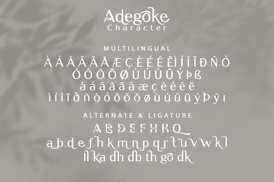 Adegoke Font · 1001 Fonts