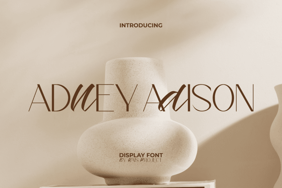 Adney Adison Demo Font · 1001 Fonts