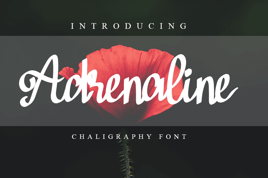 Adrenaline Font · 1001 Fonts