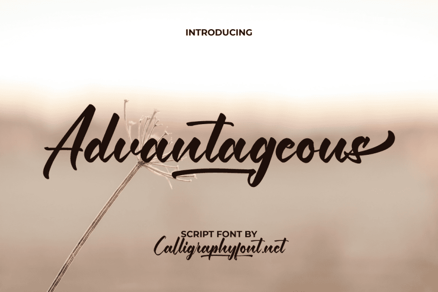 Advantageous Demo Font · 1001 Fonts