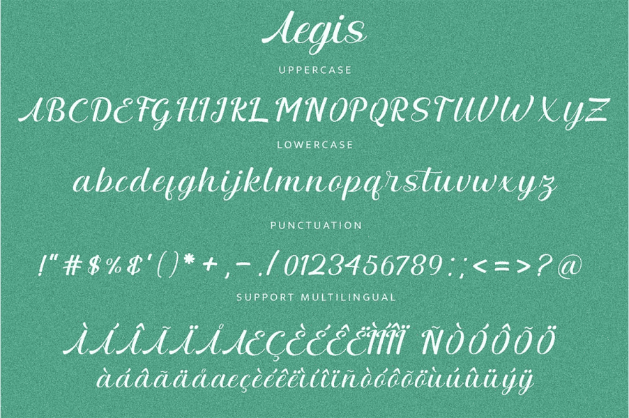 Aegis Font · 1001 Fonts