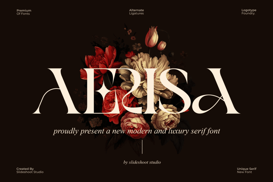 Aerisa Font · 1001 Fonts
