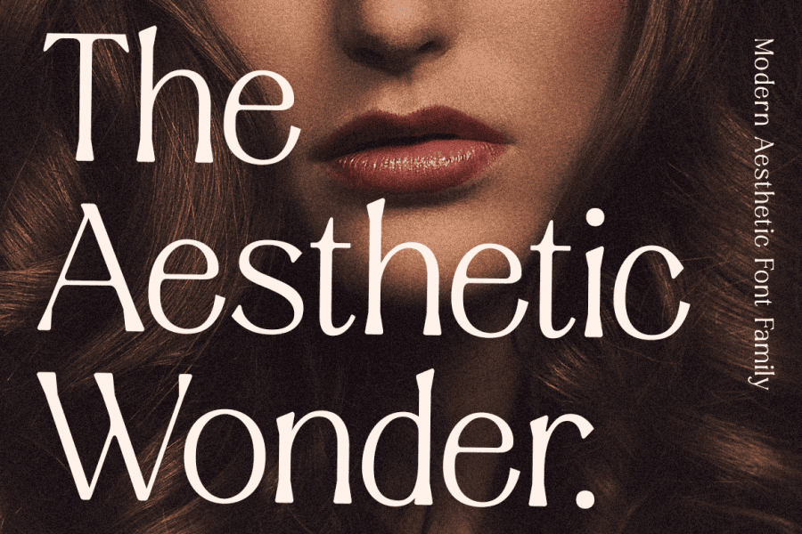 Aesthetic Wonder DEMO Font Family · 1001 Fonts
