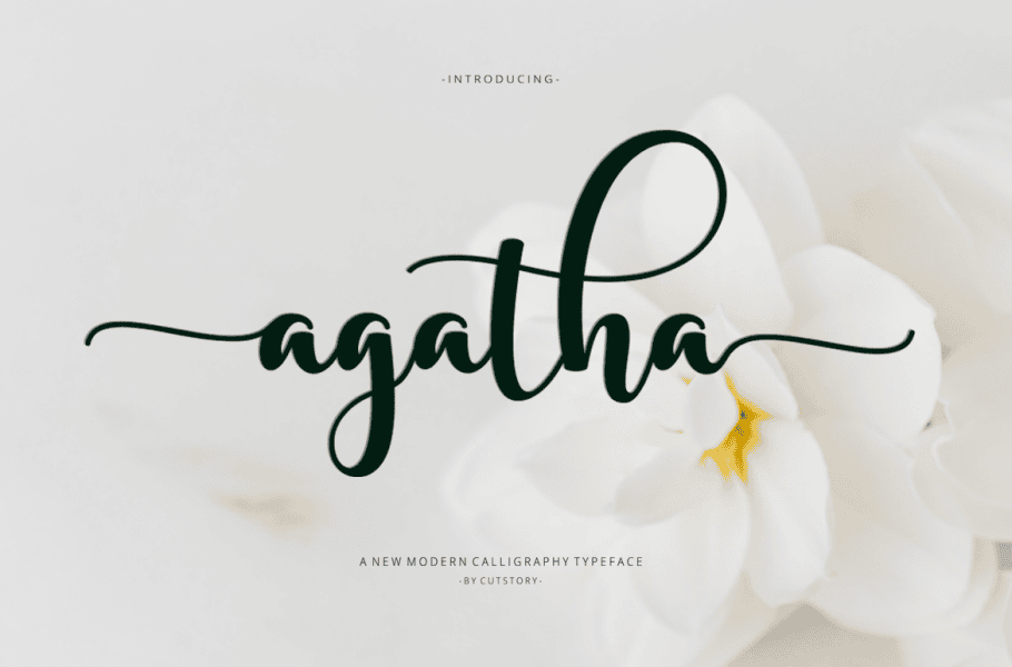 Agatha Script Font · 1001 Fonts