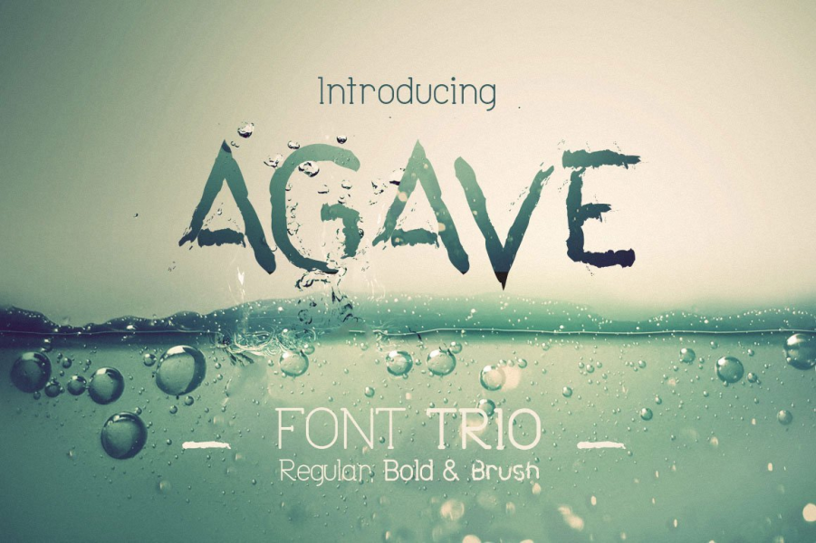 Agave Font Family · 1001 Fonts