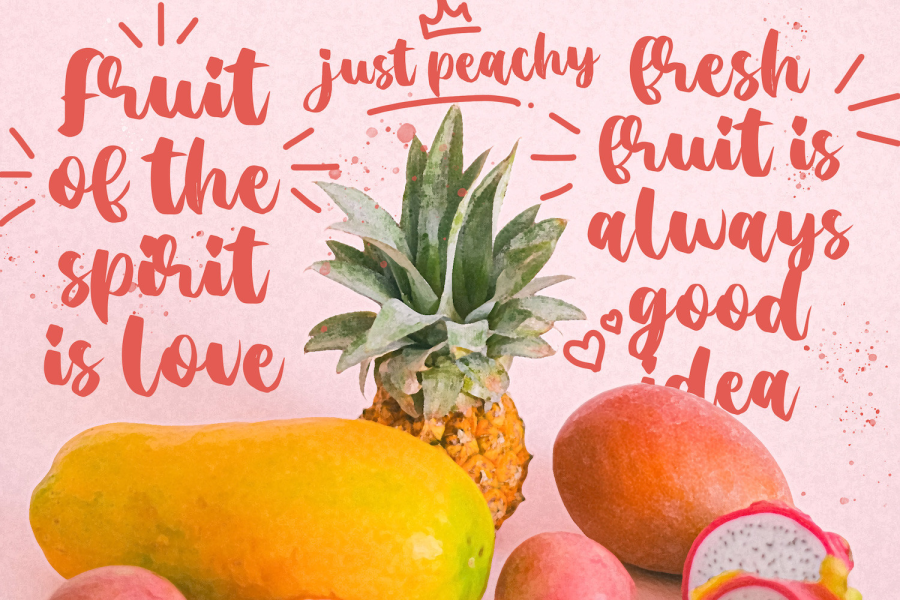 Agil Script Font · 1001 Fonts