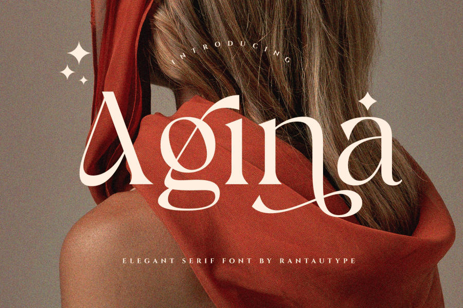 Agina Font · 1001 Fonts