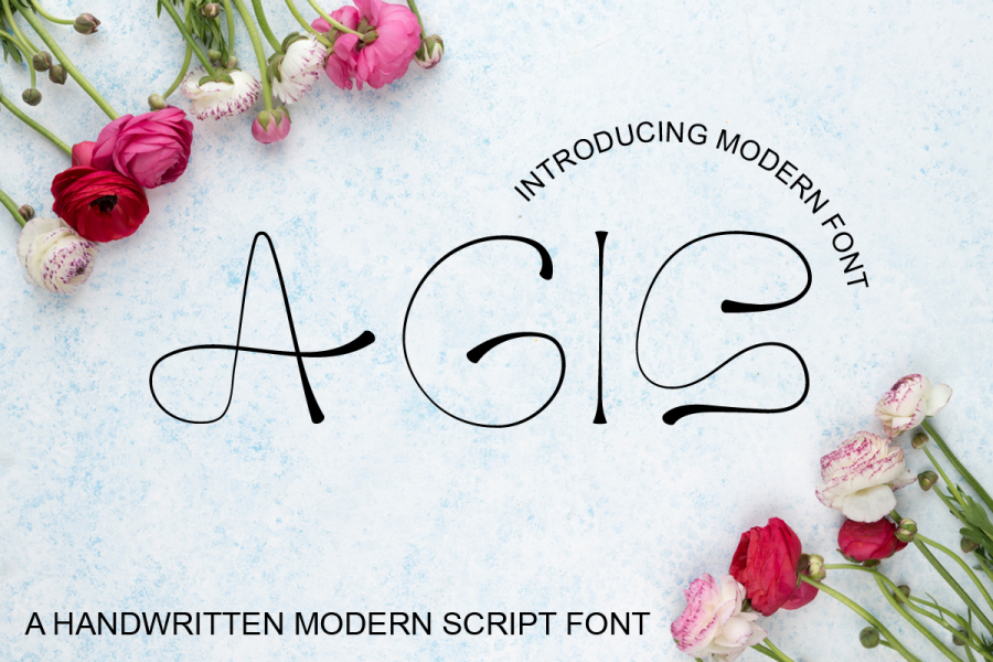AGIS Font Family · 1001 Fonts