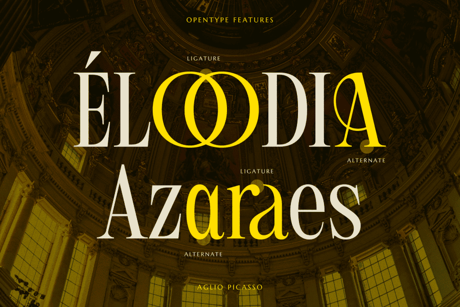 Aglio Picasso Font · 1001 Fonts