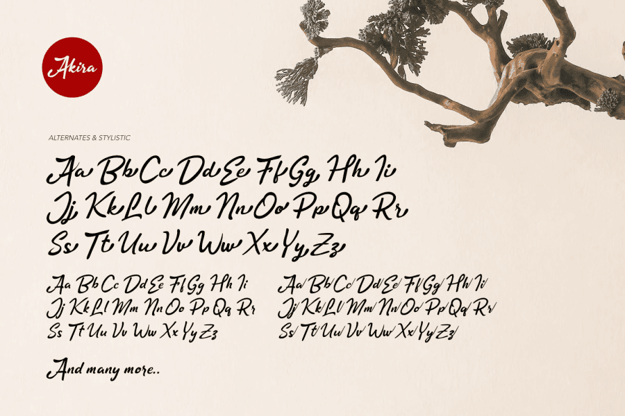 Akira Font · 1001 Fonts