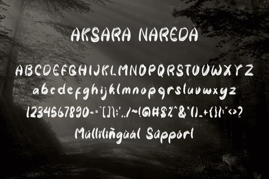 Aksara Nareda Font · 1001 Fonts