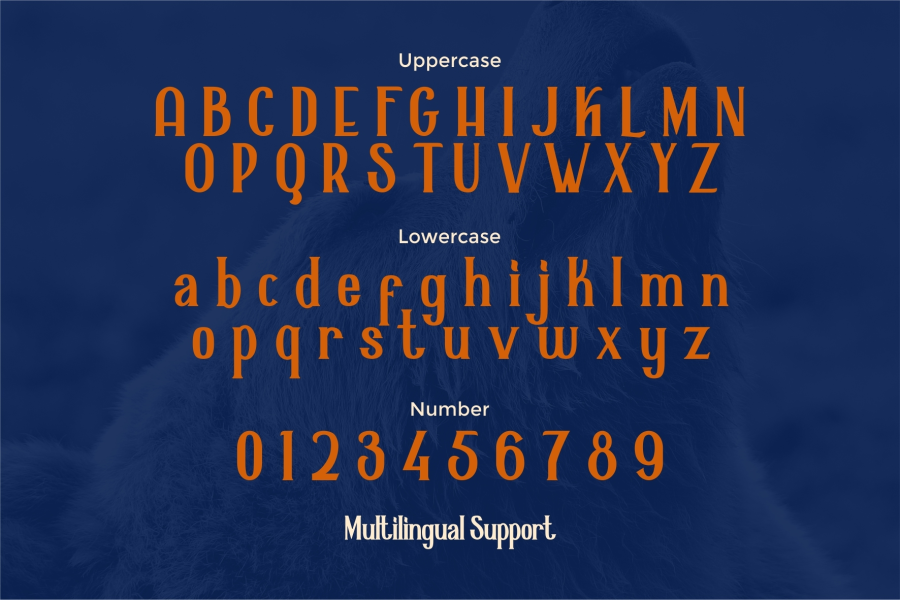 Alaska Font · 1001 Fonts