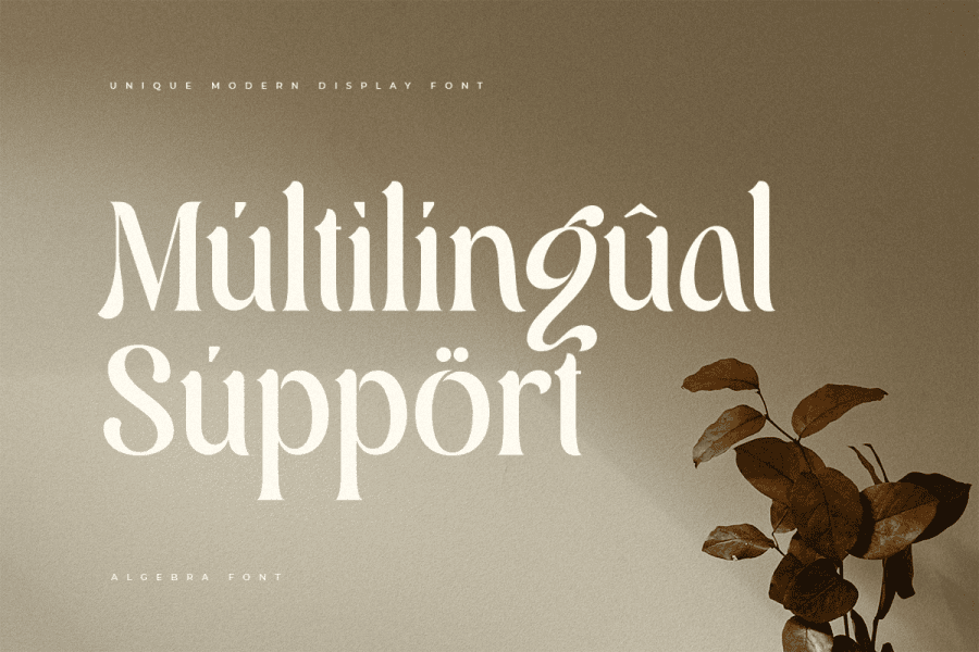 Algebra Font · 1001 Fonts