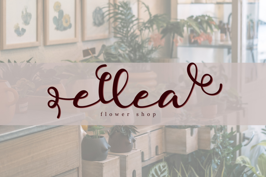 Allie Ethan Font · 1001 Fonts