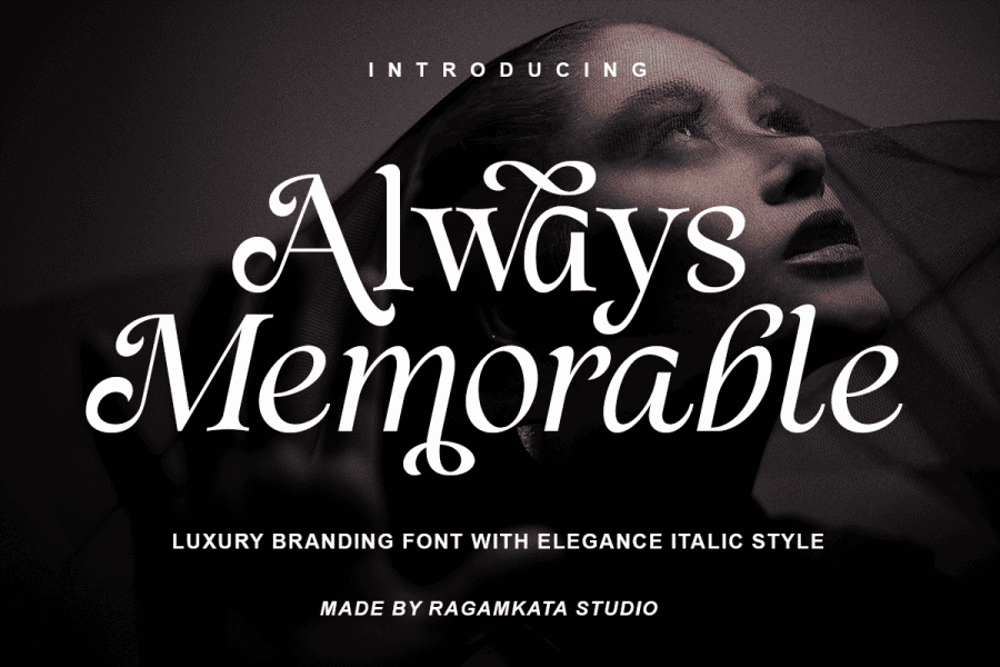 Always Memorable Demo Font · 1001 Fonts