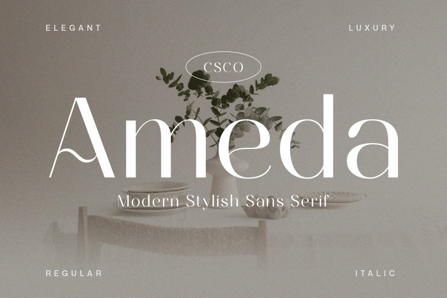 Ameda Demo Font · 1001 Fonts