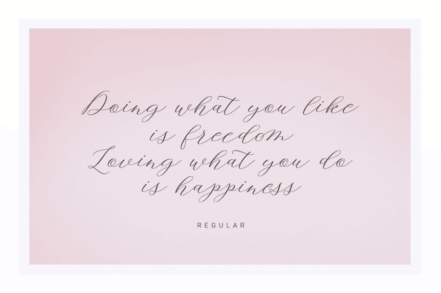 Amelina Script Font Family · 1001 Fonts