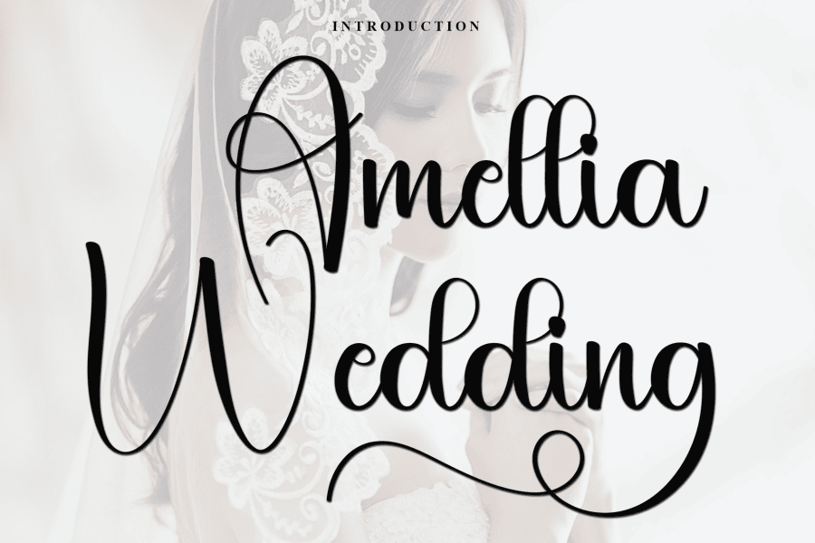 Amellia Wedding Font · 1001 Fonts