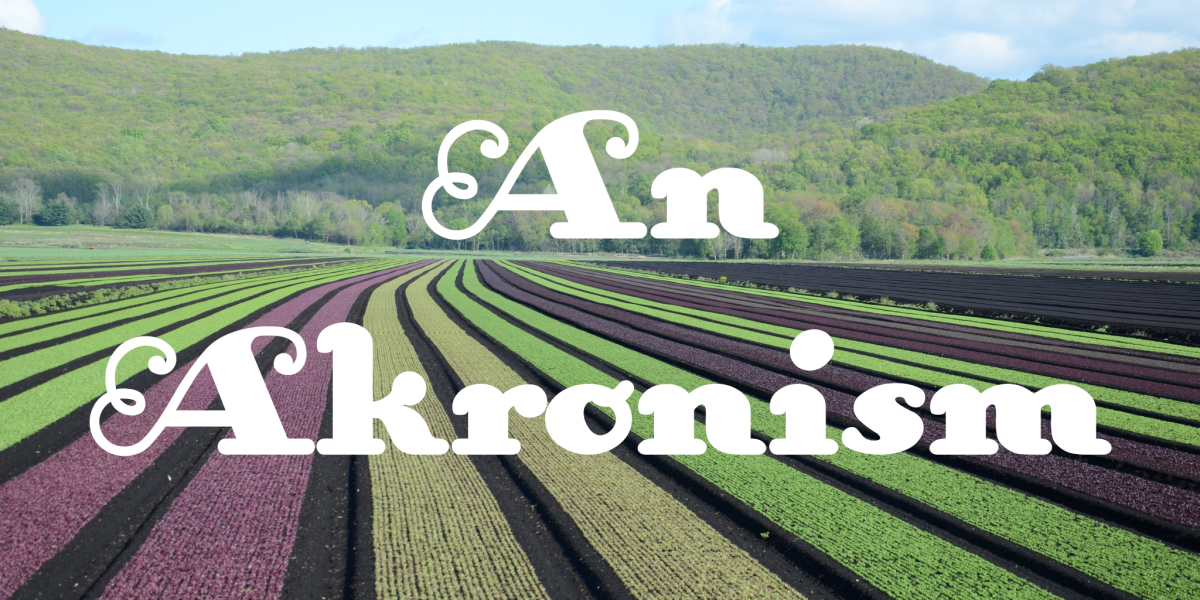 An Akronism Font · 1001 Fonts