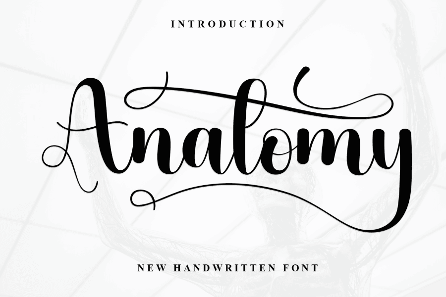 Anatomy Font · 1001 Fonts