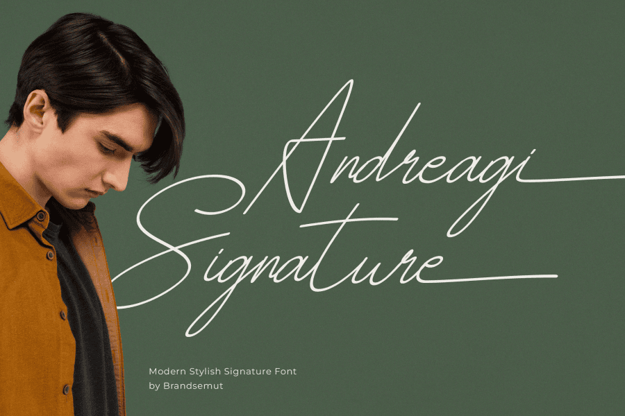 Andreagi Signature Font · 1001 Fonts