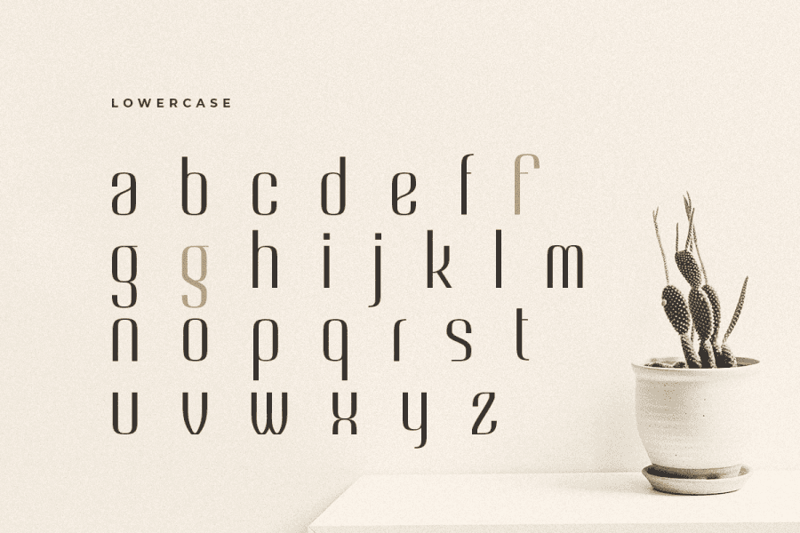 Angelia Font · 1001 Fonts