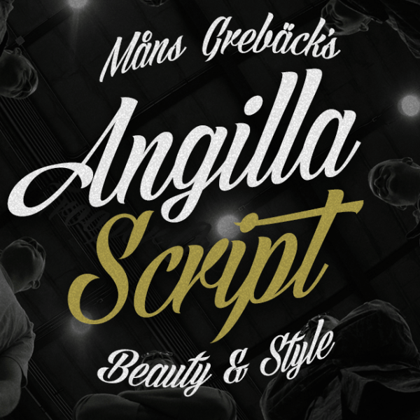 Angilla Script PERSONAL USE Font · 1001 Fonts