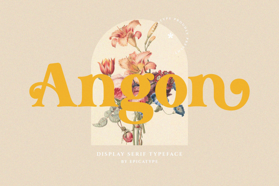 Angon Font · 1001 Fonts