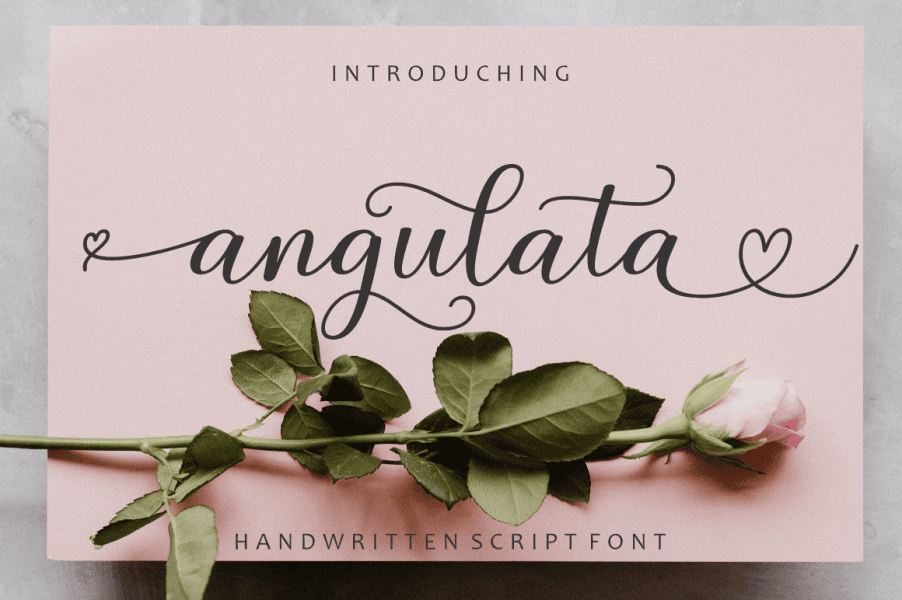 Angulata Font · 1001 Fonts