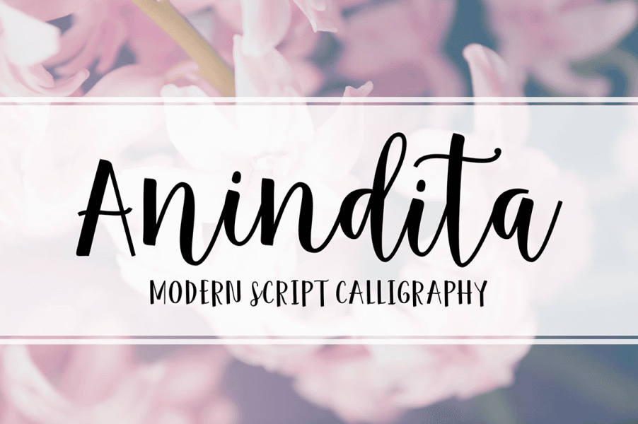 Anindita Font Family · 1001 Fonts