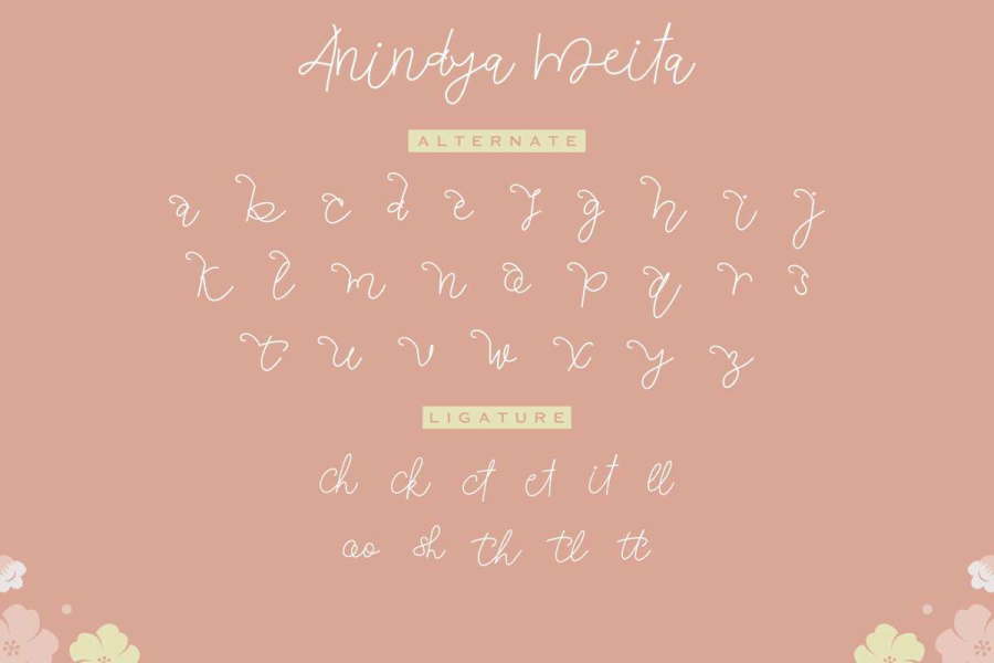 Anindya Meita Demo Font · 1001 Fonts
