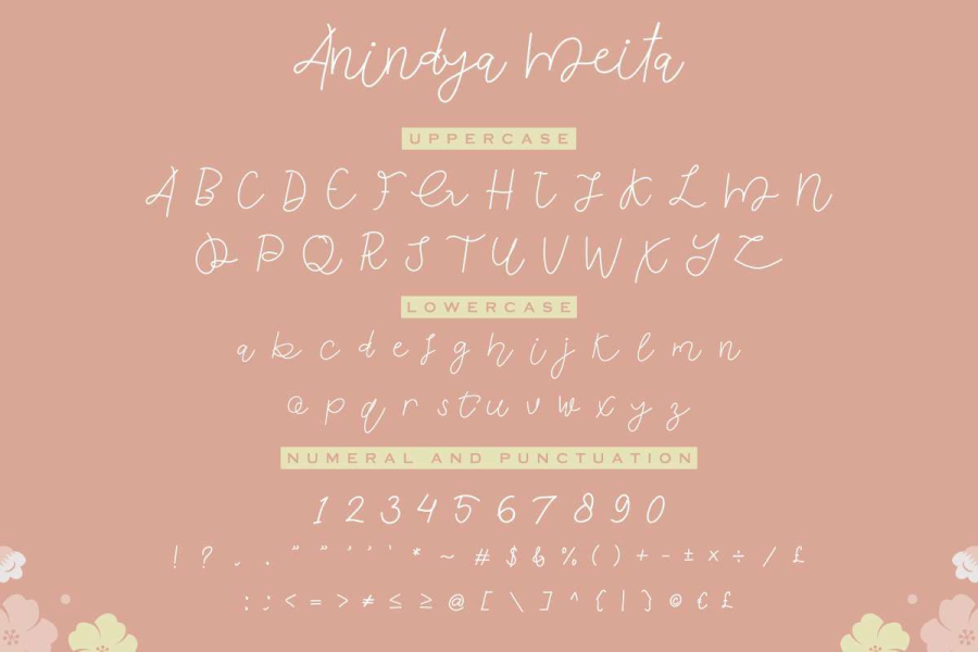 Anindya Meita Demo Font · 1001 Fonts