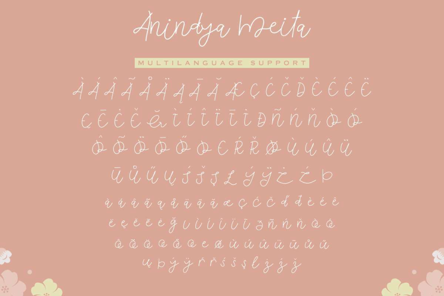 Anindya Meita Demo Font · 1001 Fonts