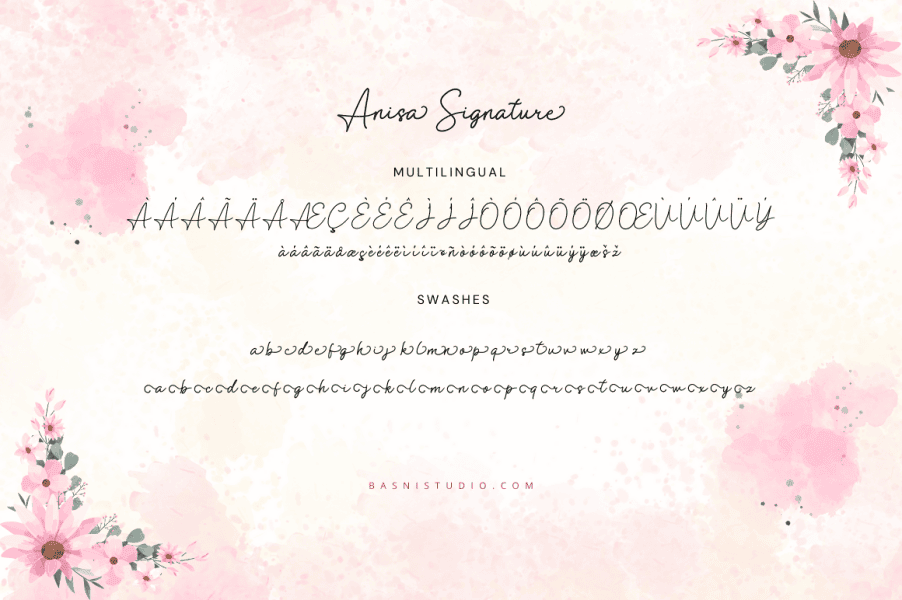 Anisa Signature Font · 1001 Fonts