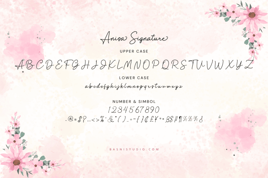Anisa Signature Font · 1001 Fonts