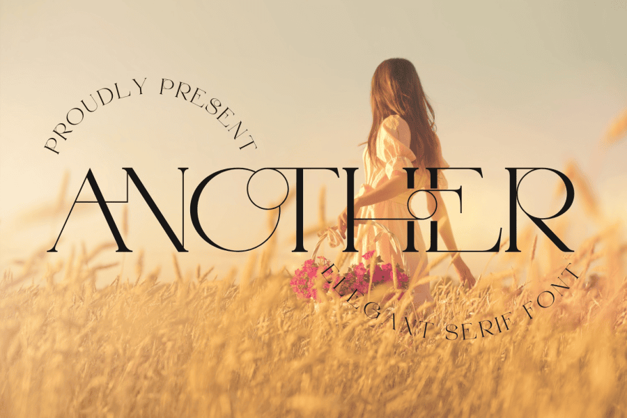 Another Elegant Demo Font · 1001 Fonts