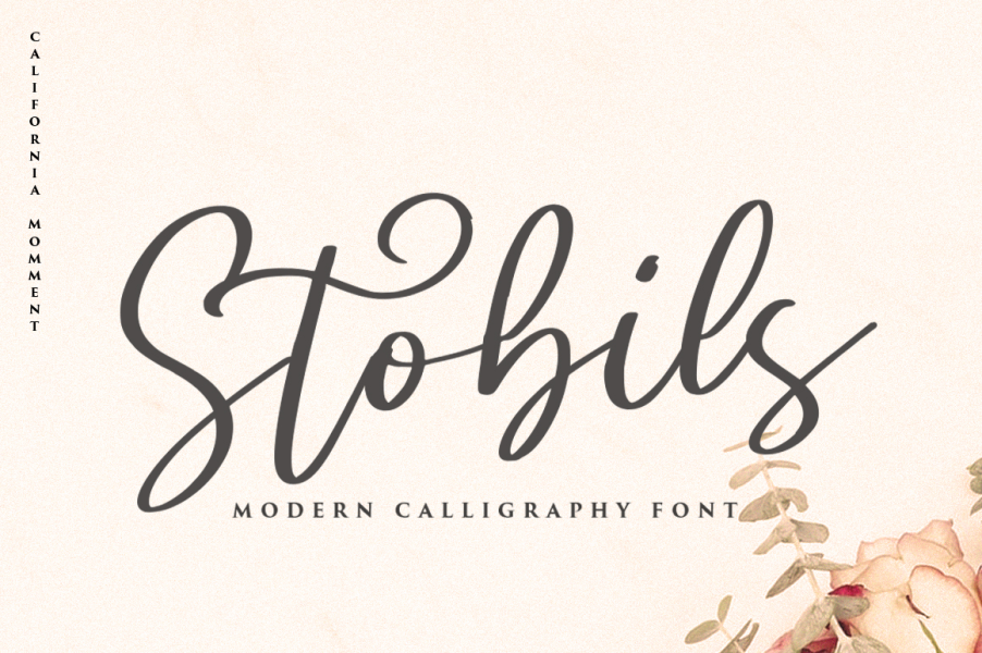 4 Free Invitation, Beauty Logo, Delicate Script Fonts · 1001 Fonts