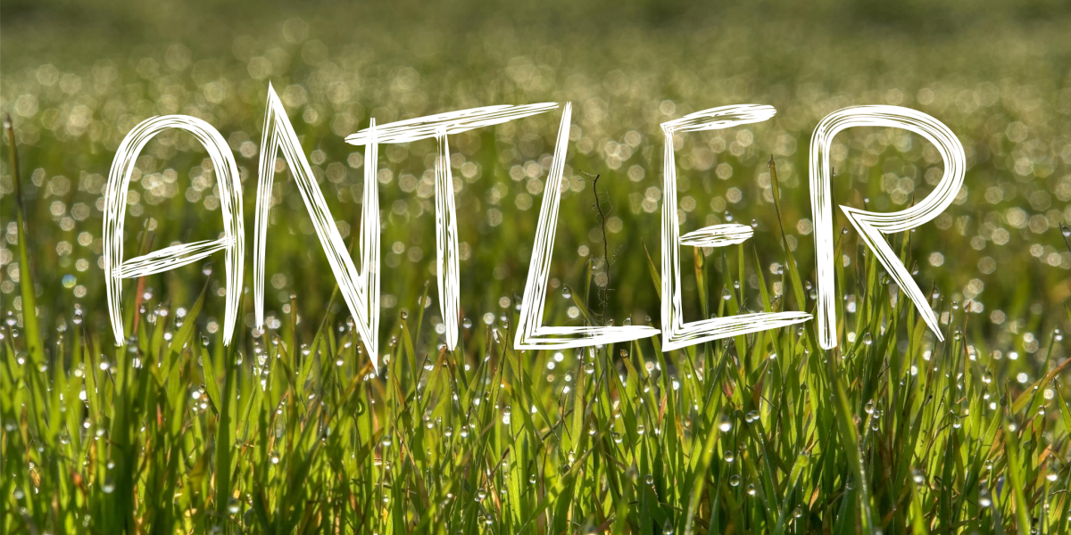Antler Font · 1001 Fonts