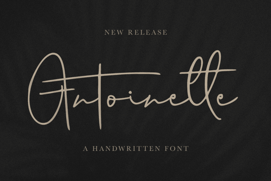 Antoinette Personal Use Only Font · 1001 Fonts