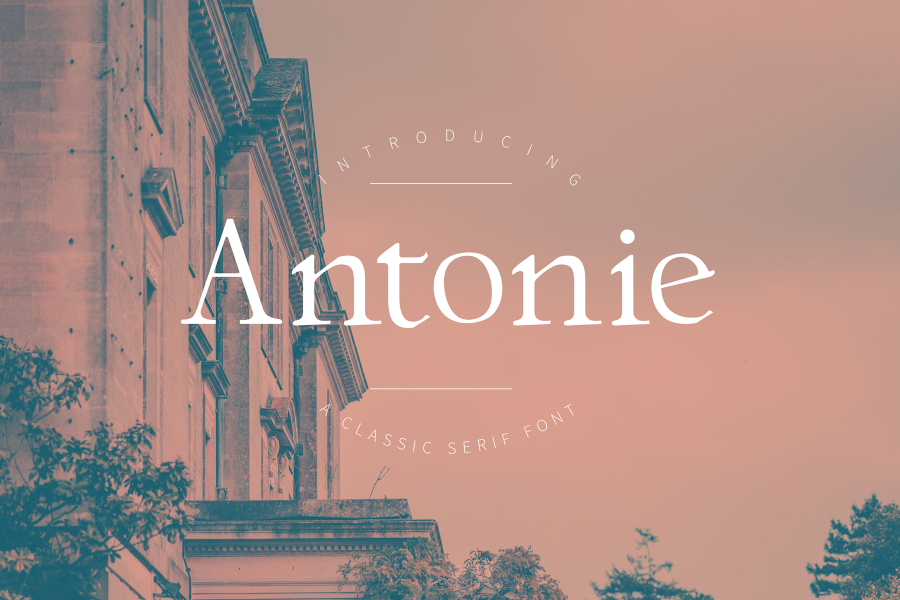 Antonie Font · 1001 Fonts