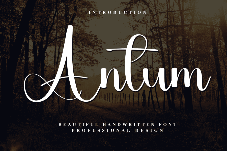 Antum Font · 1001 Fonts