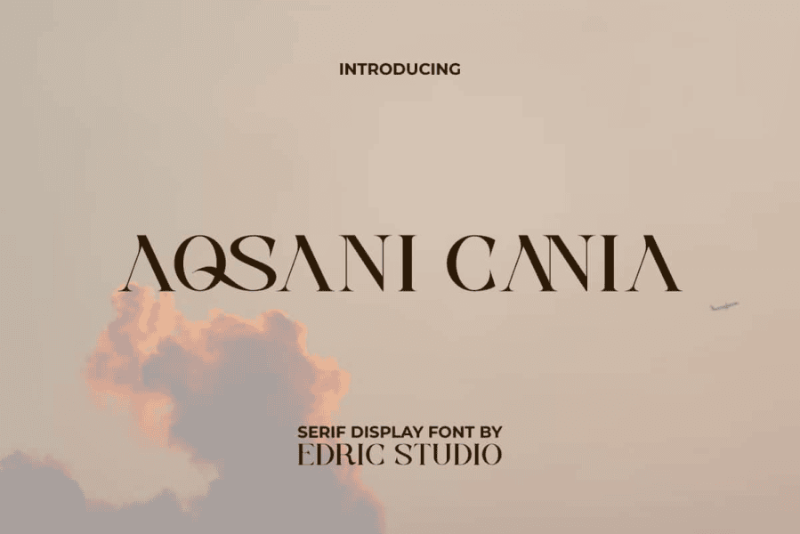 Aqsani Cania Demo Font · 1001 Fonts