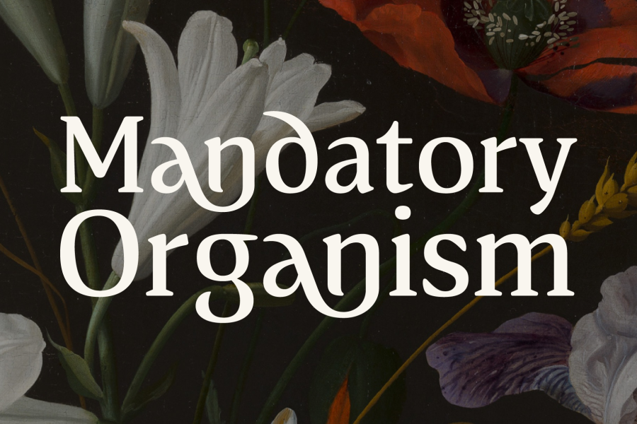 3 Free Art Gallery Fonts · 1001 Fonts