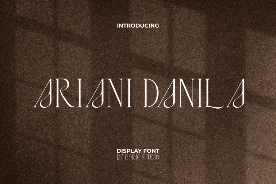 Ariani Danila Demo Font · 1001 Fonts