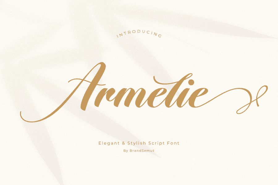 2 Free Boutique, Branding Script, Signature Fonts · 1001 Fonts